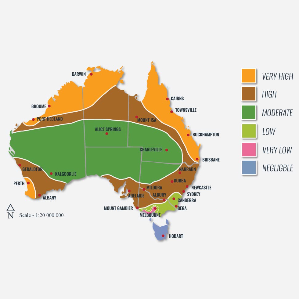 1 in 3 Australian homes has termites – Metframe Australia