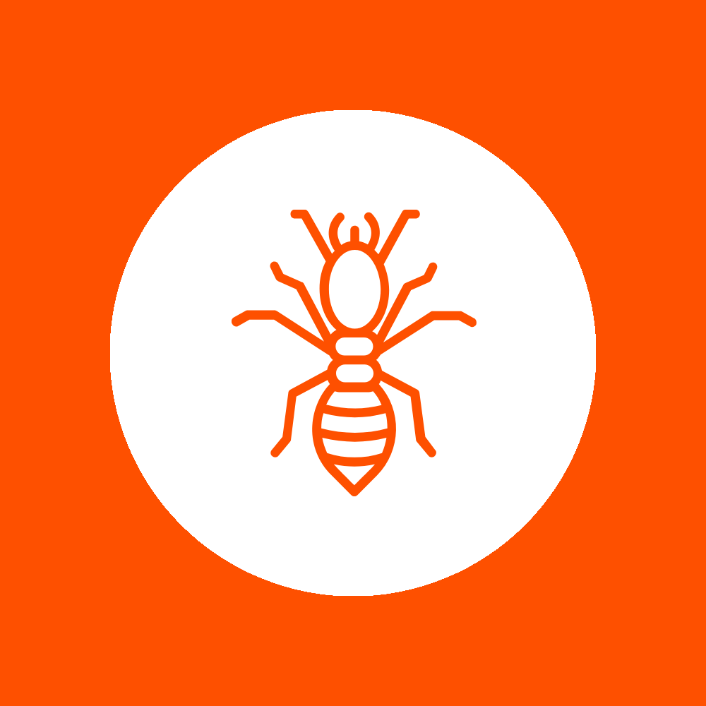 Why Choose Steel Frames – Metframe Australia