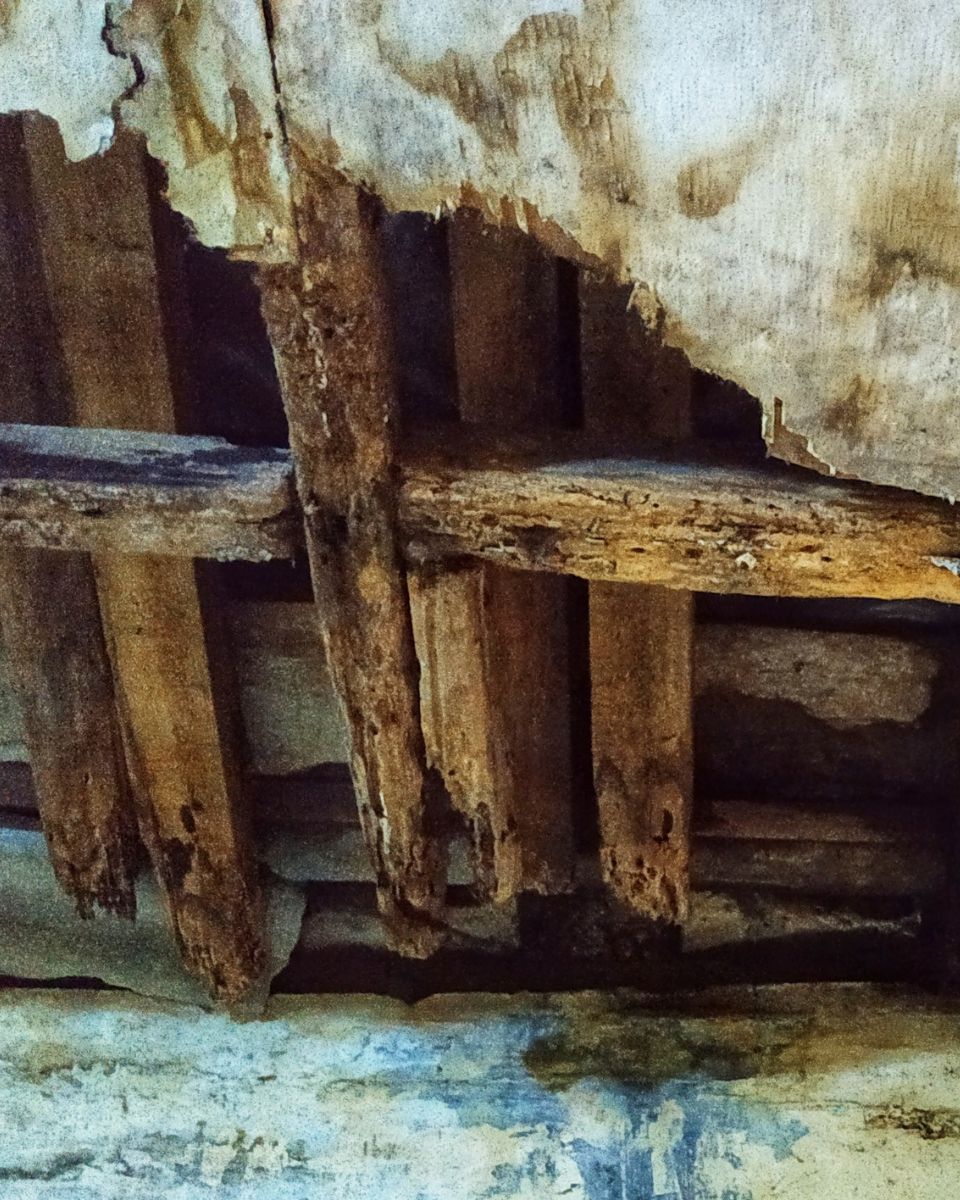 1 in 3 Australian homes has termites – Metframe Australia